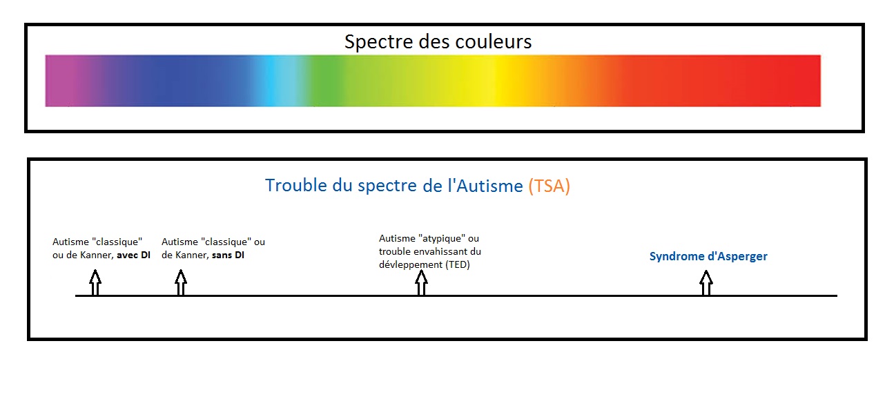 Le spectre autistique - Centre ressource réhabilitation