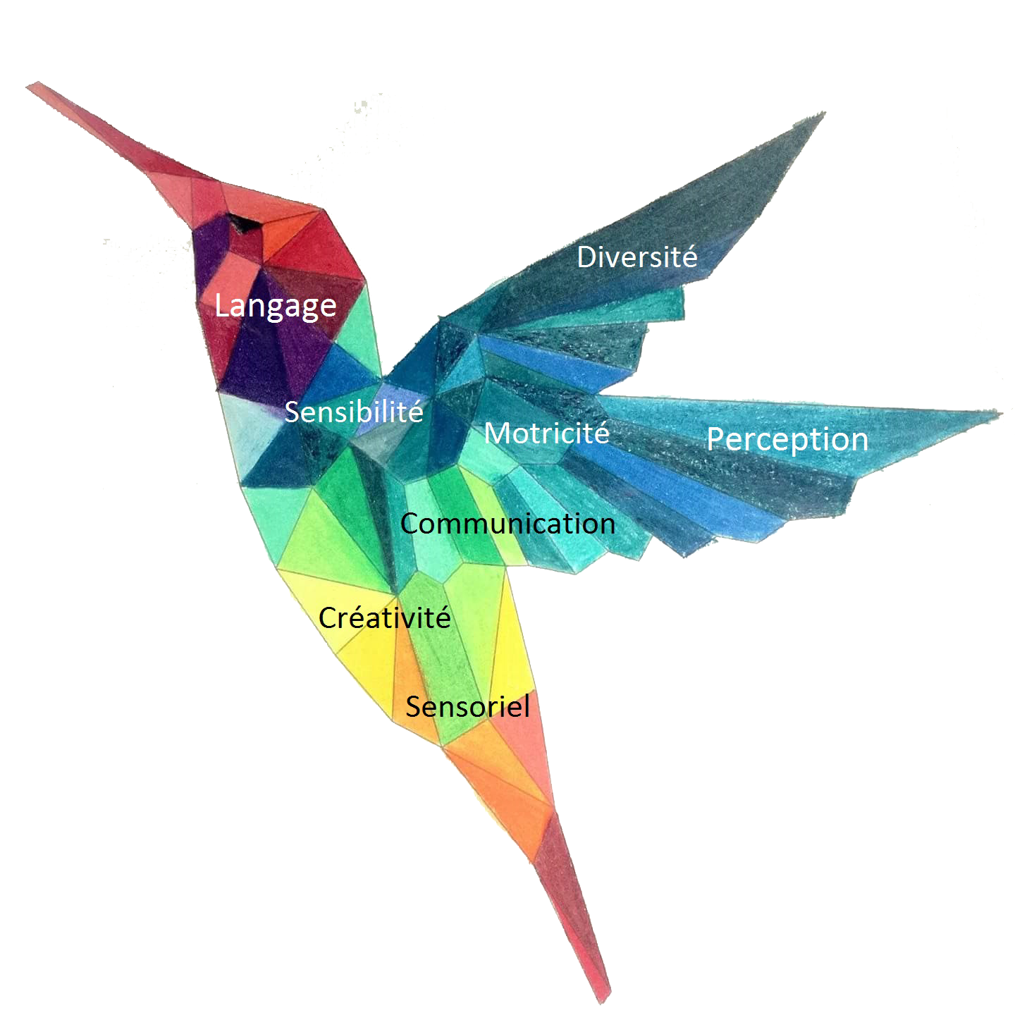 Le spectre autistique - Centre ressource réhabilitation